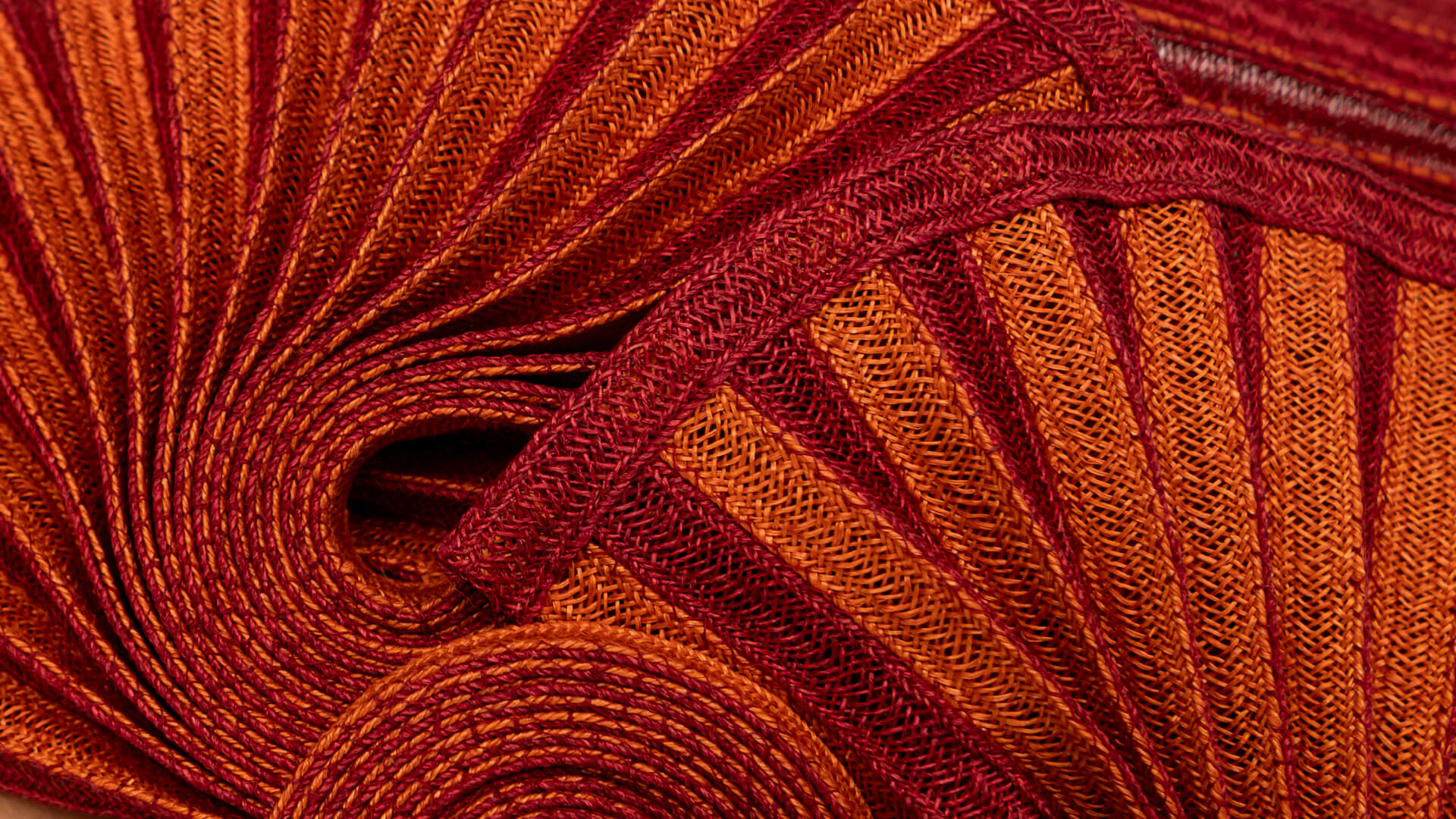 Competition Process | WOW Competition